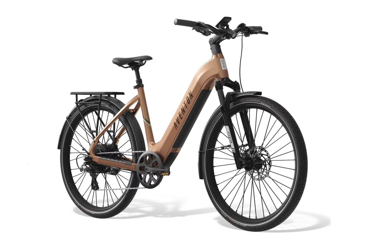 Level 3 Step Through Commuter Ebike – US Pro Scooters