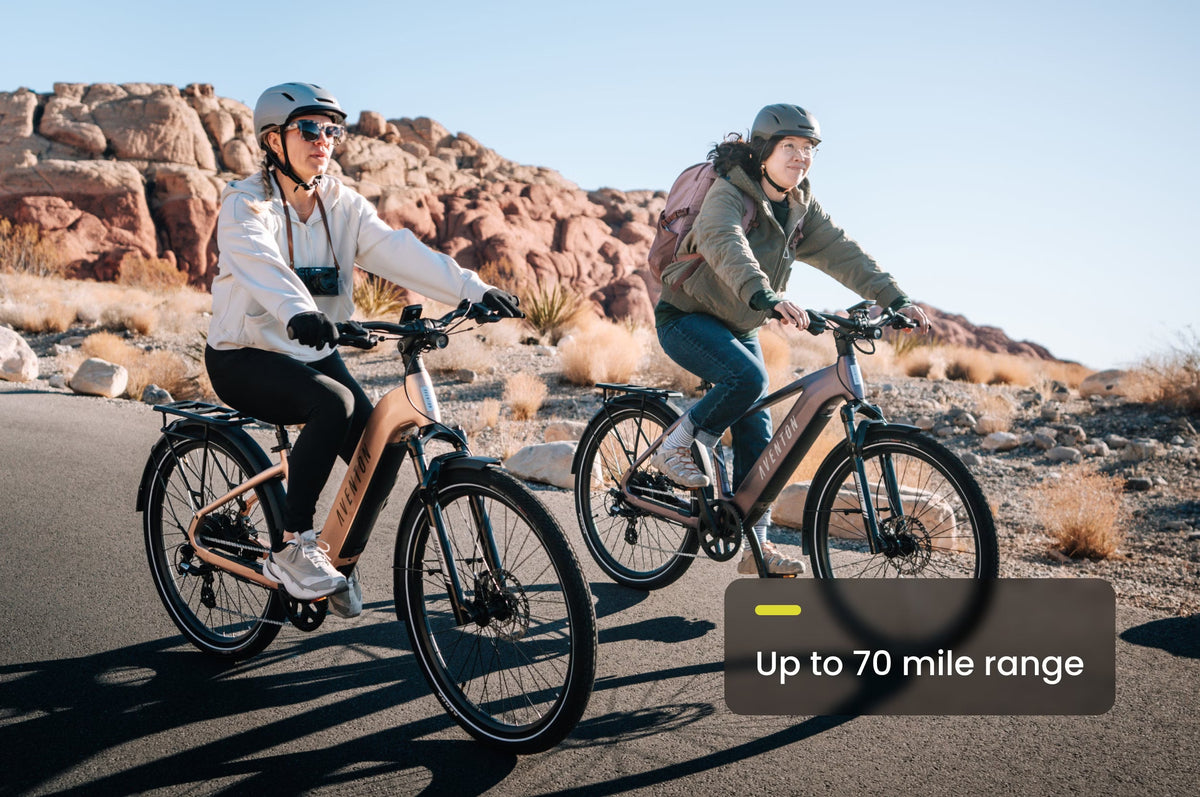 Level 3 Step Through Commuter Ebike – US Pro Scooters
